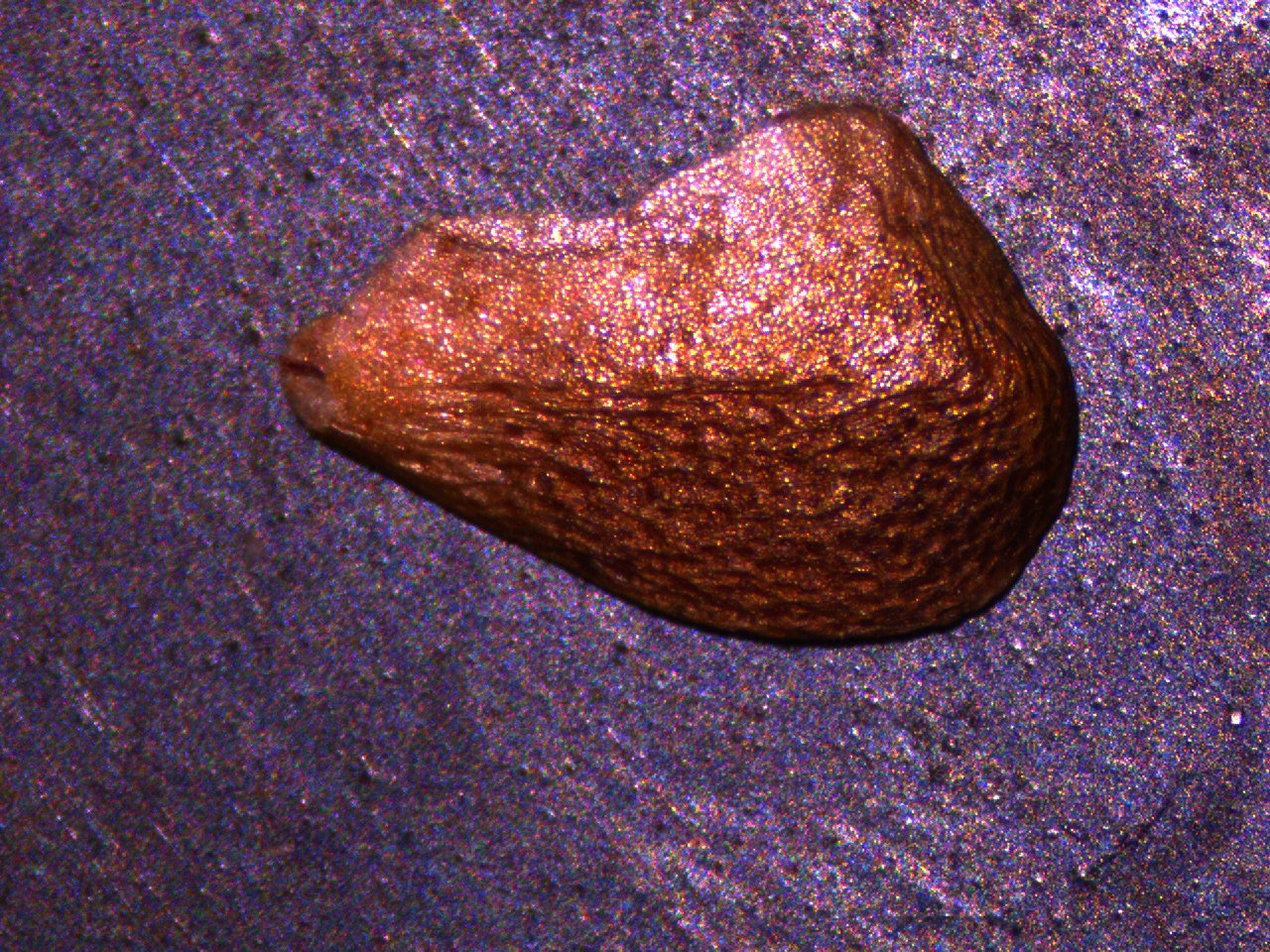 Top Heifubing Datasets and Models | Roboflow Universe