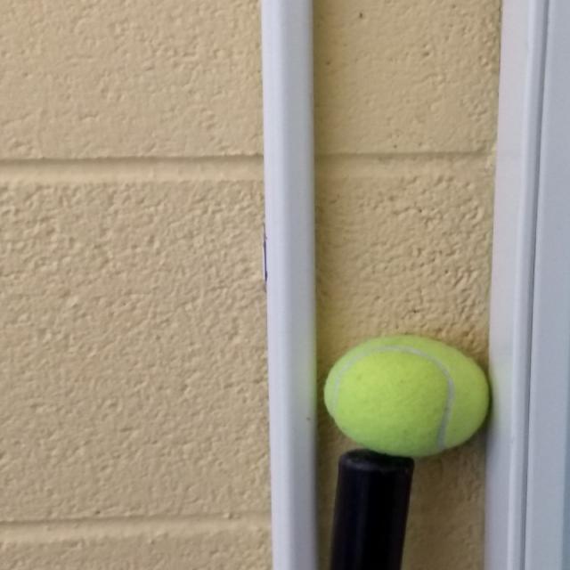 Tennis Ball Object Detection Dataset and Pre-Trained Model by Bogdan ...