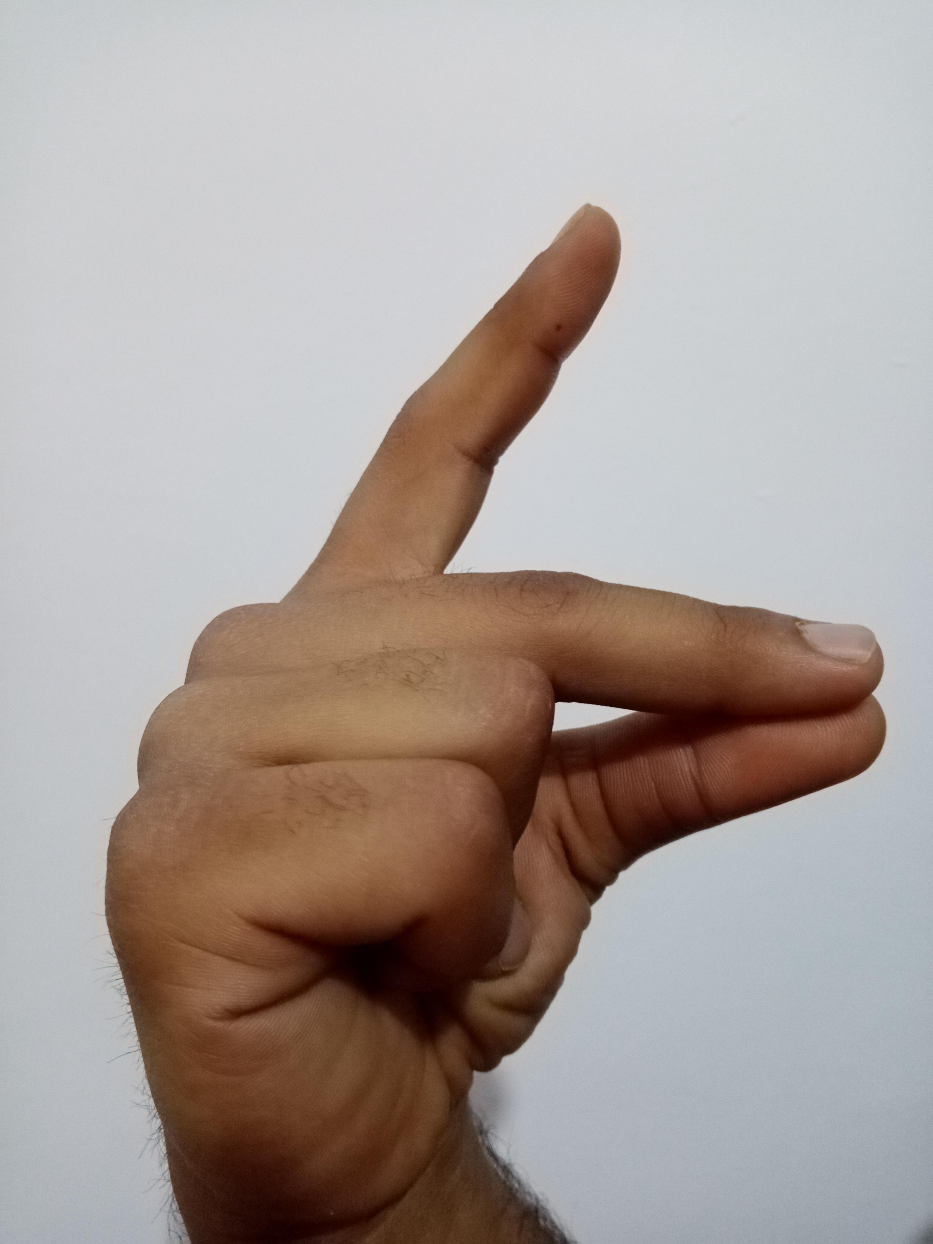 Rgb Arabic Alphabet Sign Language Aasl Dataset Object Detection