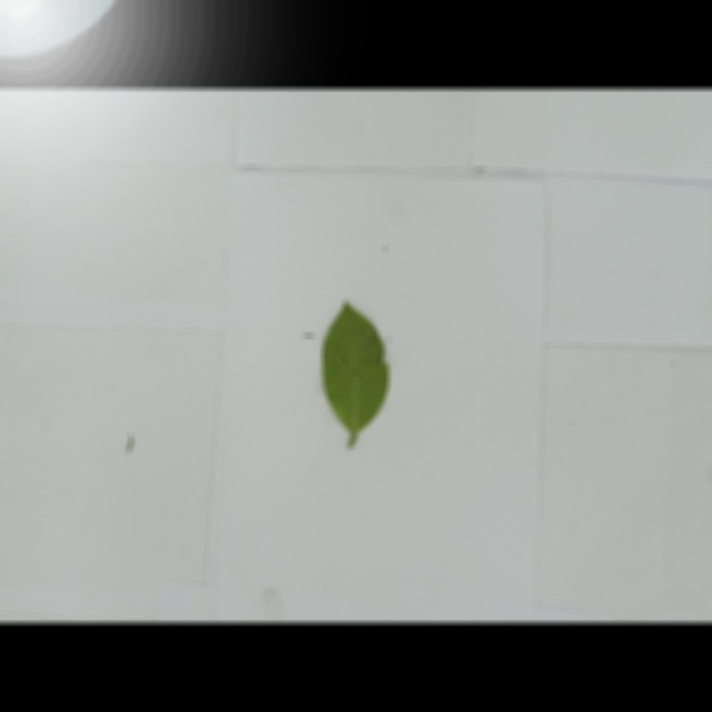 withered tea leaf detector Object Detection Dataset by Tea Leaf Checker