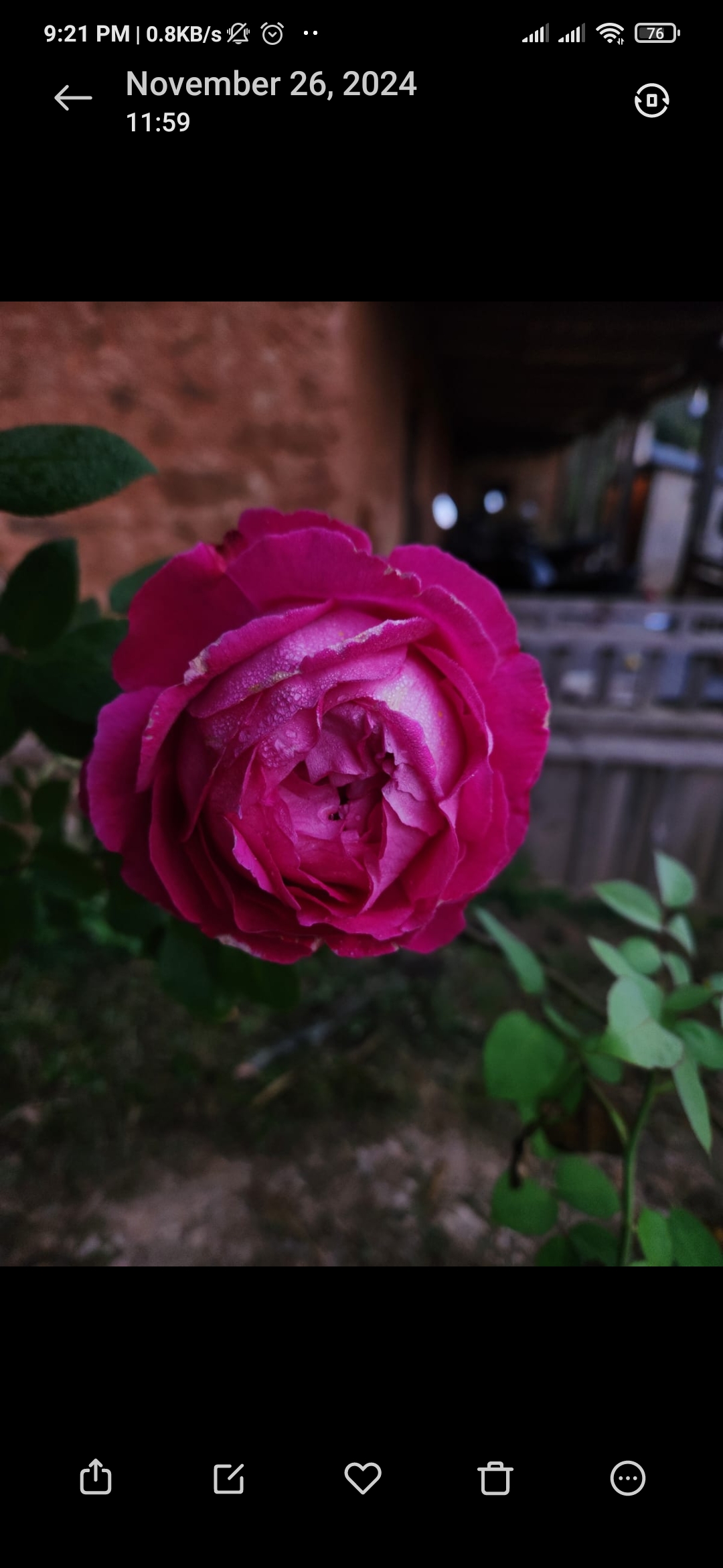 Blue Cup Object Detection Model by Saubhagya