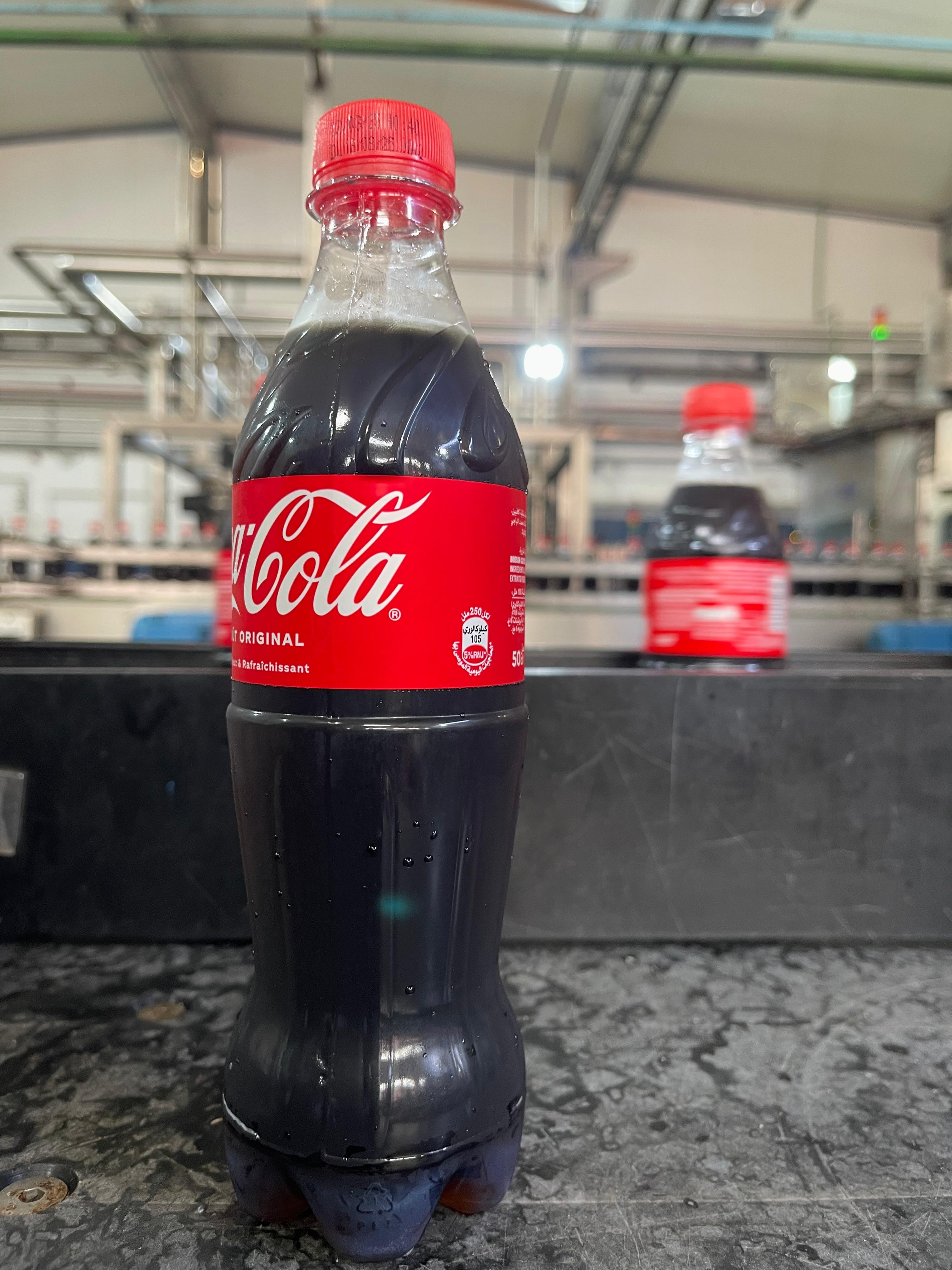 My First project Instance Segmentation Model by mahran