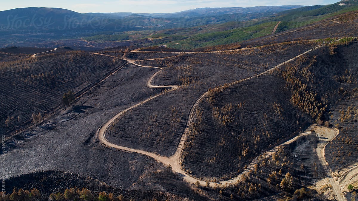 Firedetection Object Detection Dataset By Burapha University