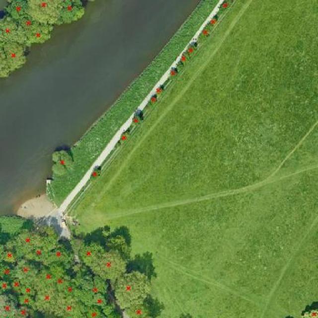 tree Object Detection Dataset and Pre-Trained Model by drone