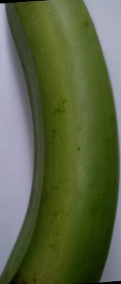 Automated Banana Grading System Classification Dataset and Pre-Trained ...