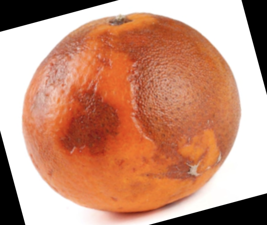 Orange Detection Classification Dataset by computer vision asda