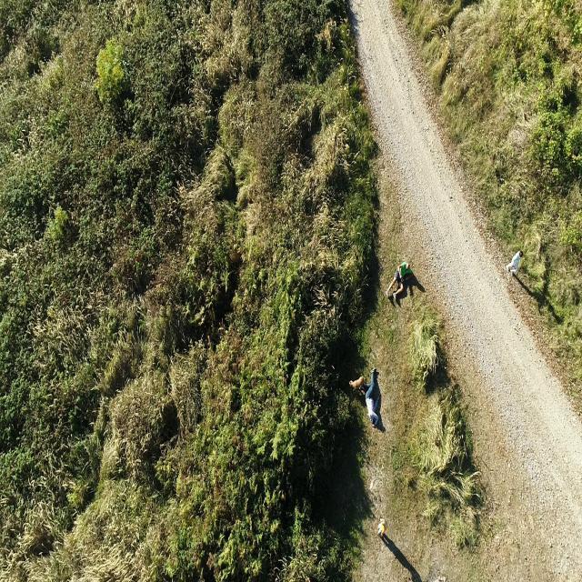 Last_Dataset_Final Object Detection Dataset by VisDrone