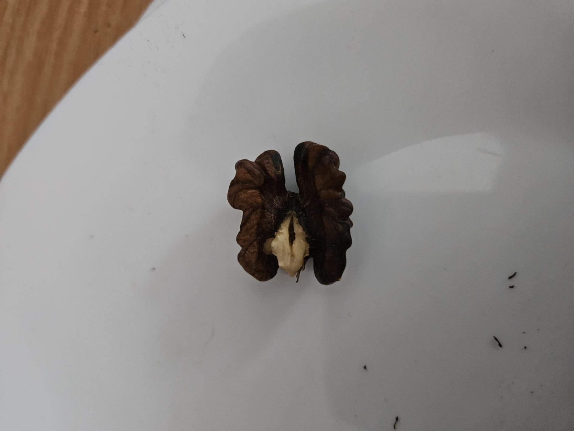 walnut Object Detection Dataset by Annotate