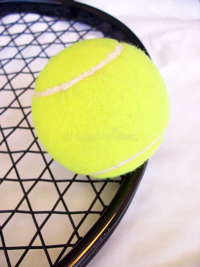 Cricket Ball 2 Object Detection Dataset And Pre Trained Model By