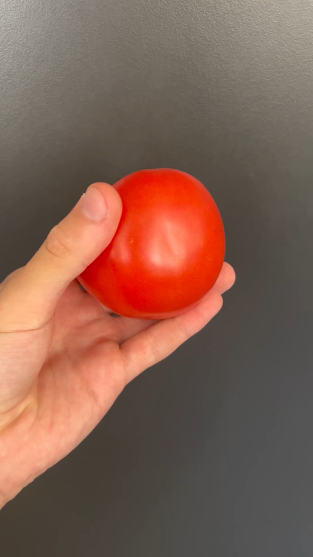 tomato detection Object Detection Model by tomatoes