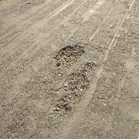 example (example-jl8d6) - Roboflow Universe