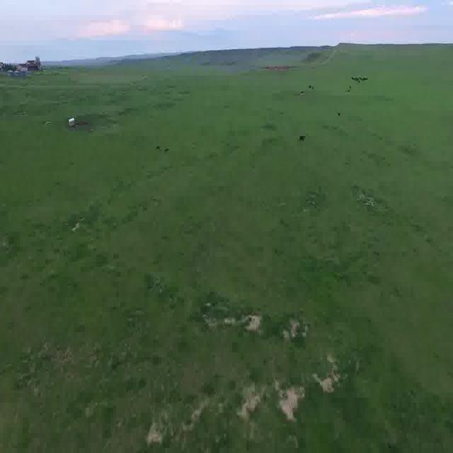 animals dataset Object Detection Dataset by barirah