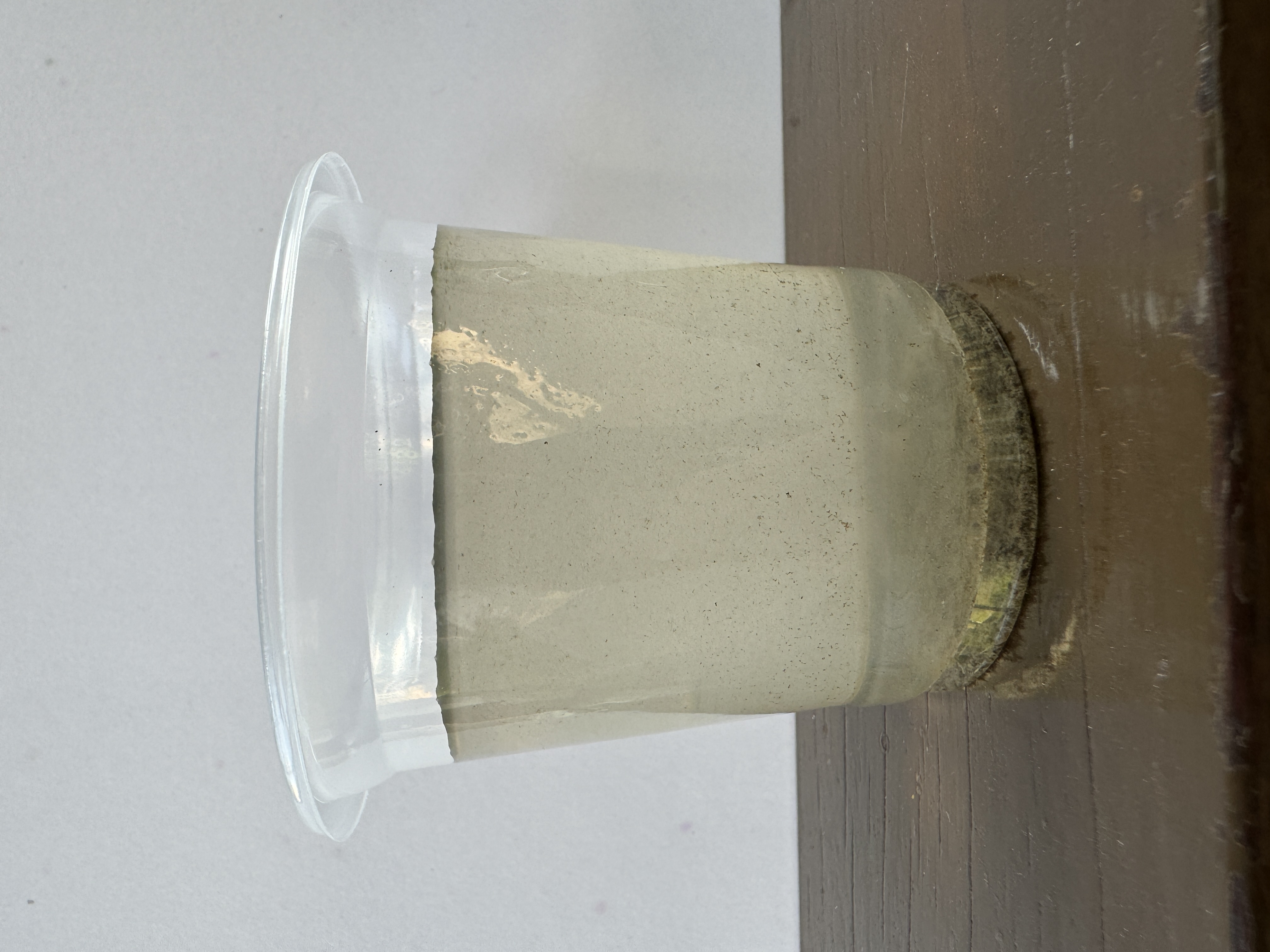 Water Turbidity NTU Object Detection Model by Aly