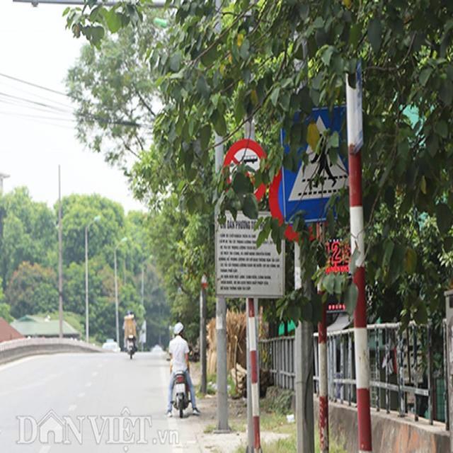 hello Object Detection Model by Dlink