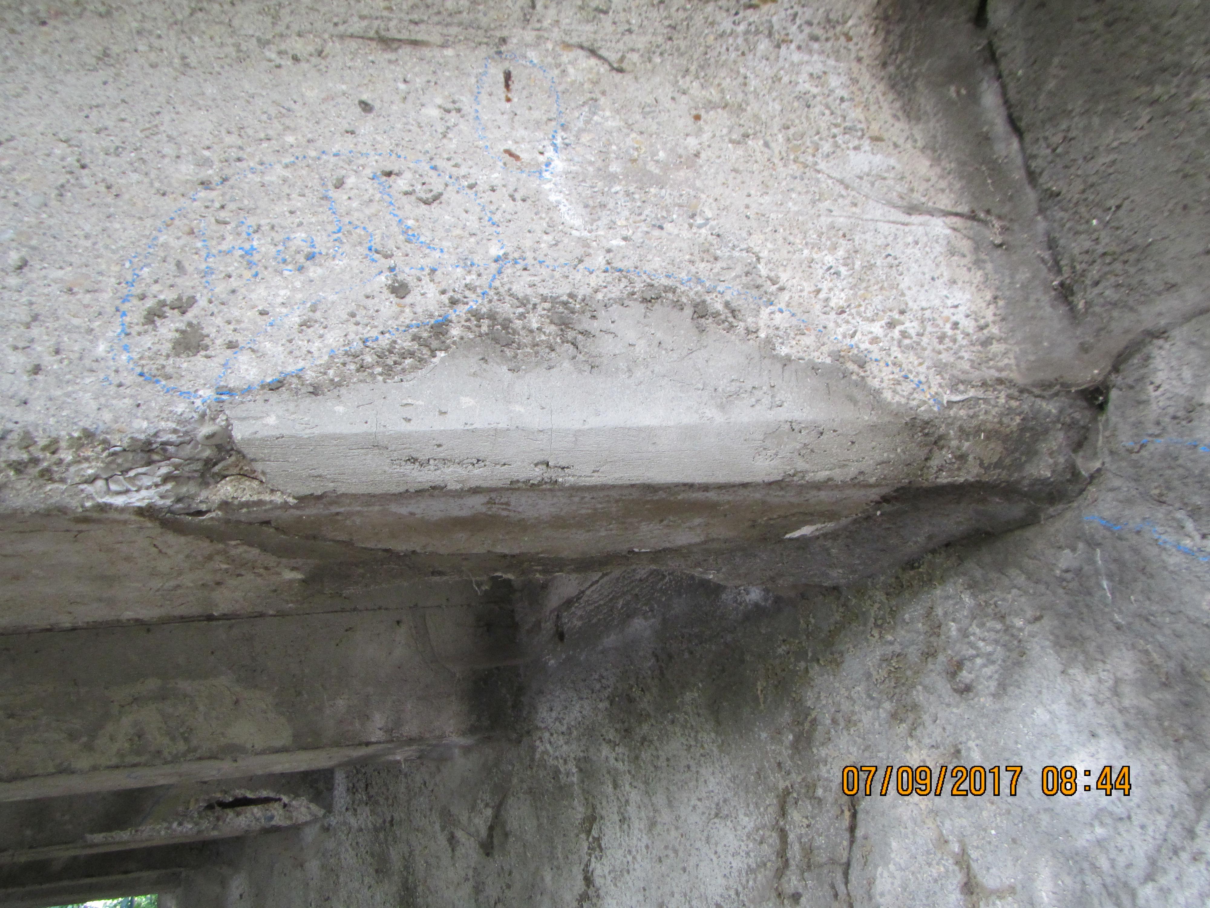 Efflorescence6 Object Detection Dataset by Efflorescence