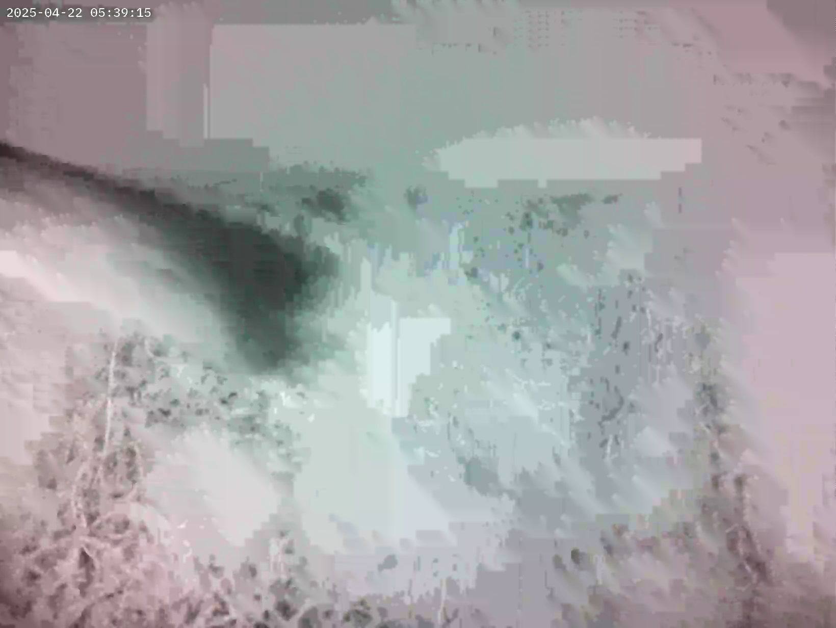 holken - Roboflow Universe