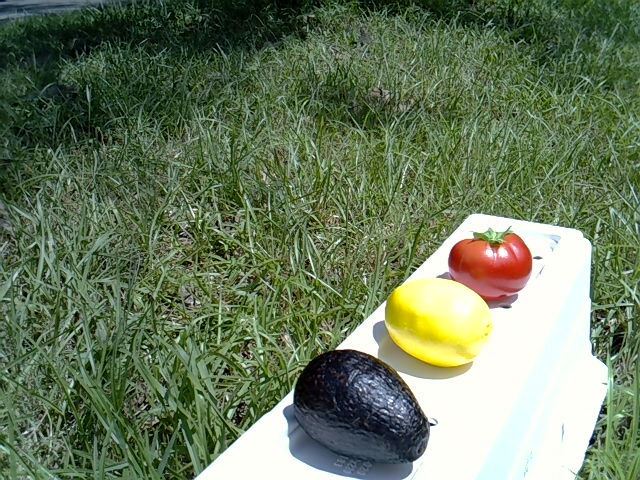 all_sunny Object Detection Dataset by Fruit Detection