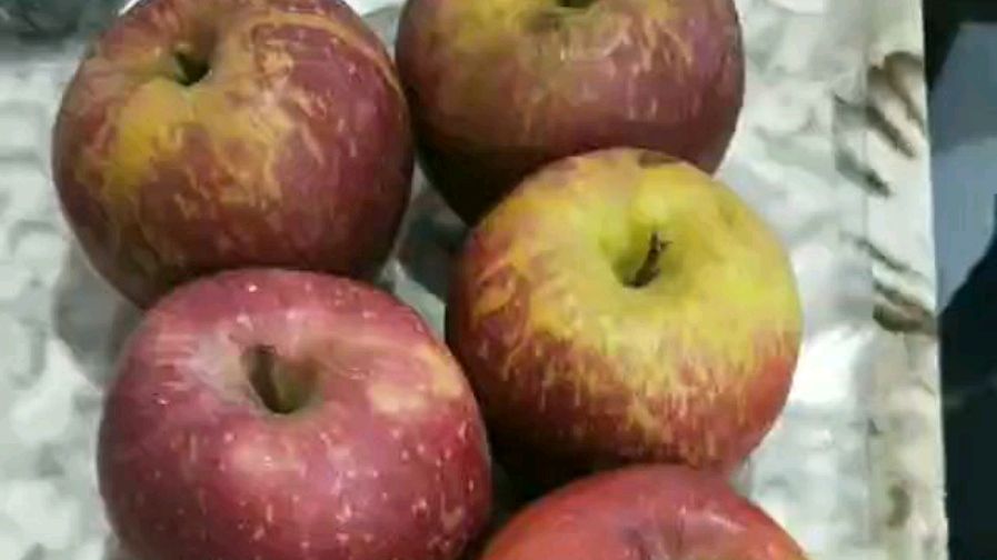 Manzanas Object Detection Dataset by Cristian Aliaga