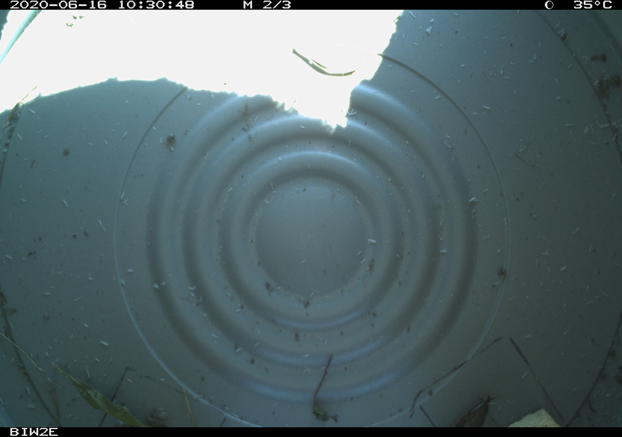 Snake Detection Object Detection Dataset by Snake Detection