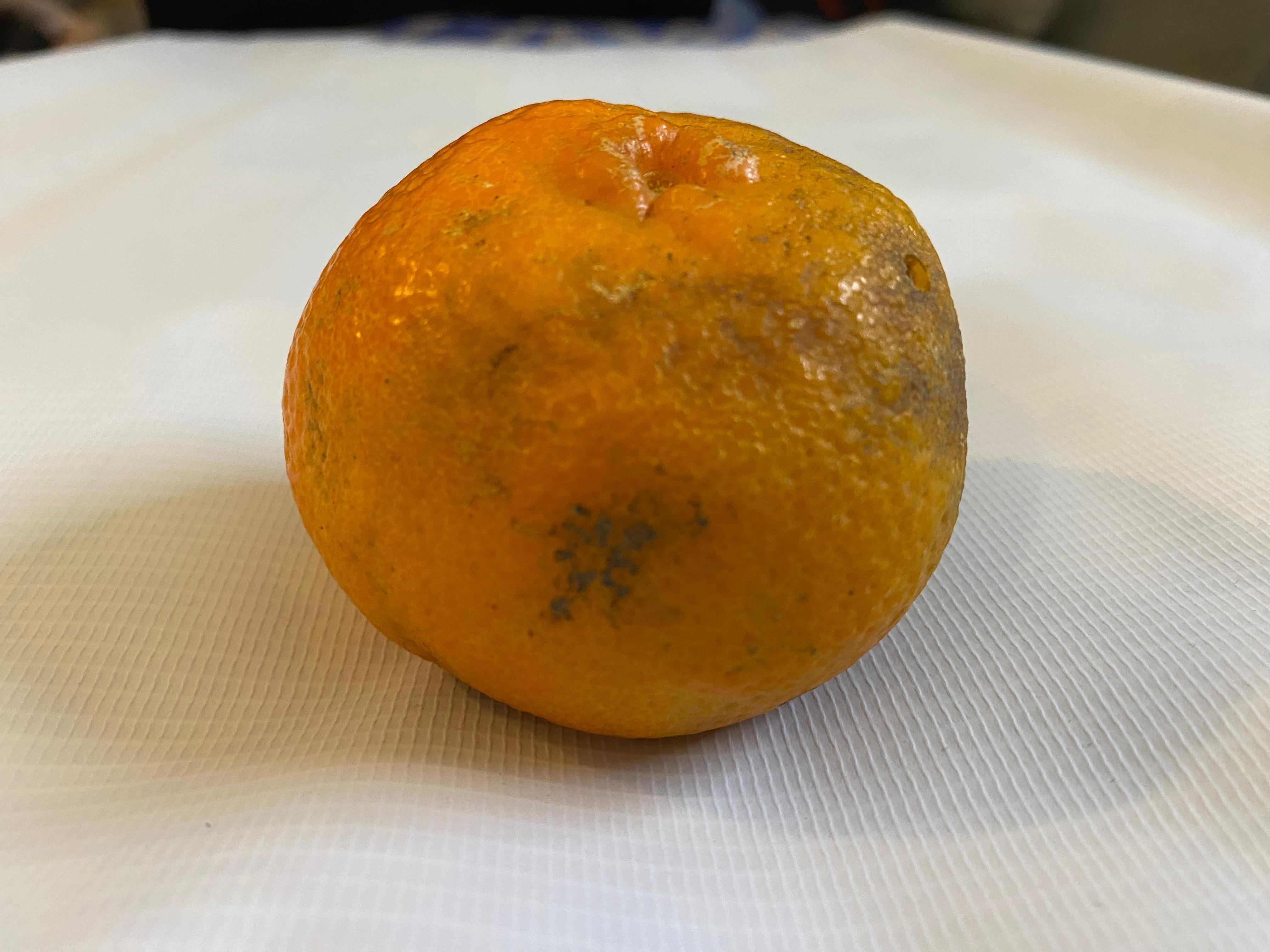 Fruit Classification Object Detection Dataset And Pre Trained Model By