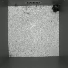 MABe22_MiceTriplet Instance Segmentation Dataset by Mixed annotations