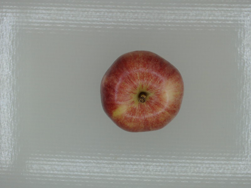 Manzanas Object Detection Dataset by DipMio