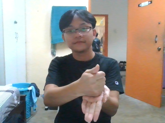 Asl Custom Object Detection Model By Fypii