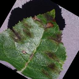 Apple diseases Instance Segmentation Model by plants