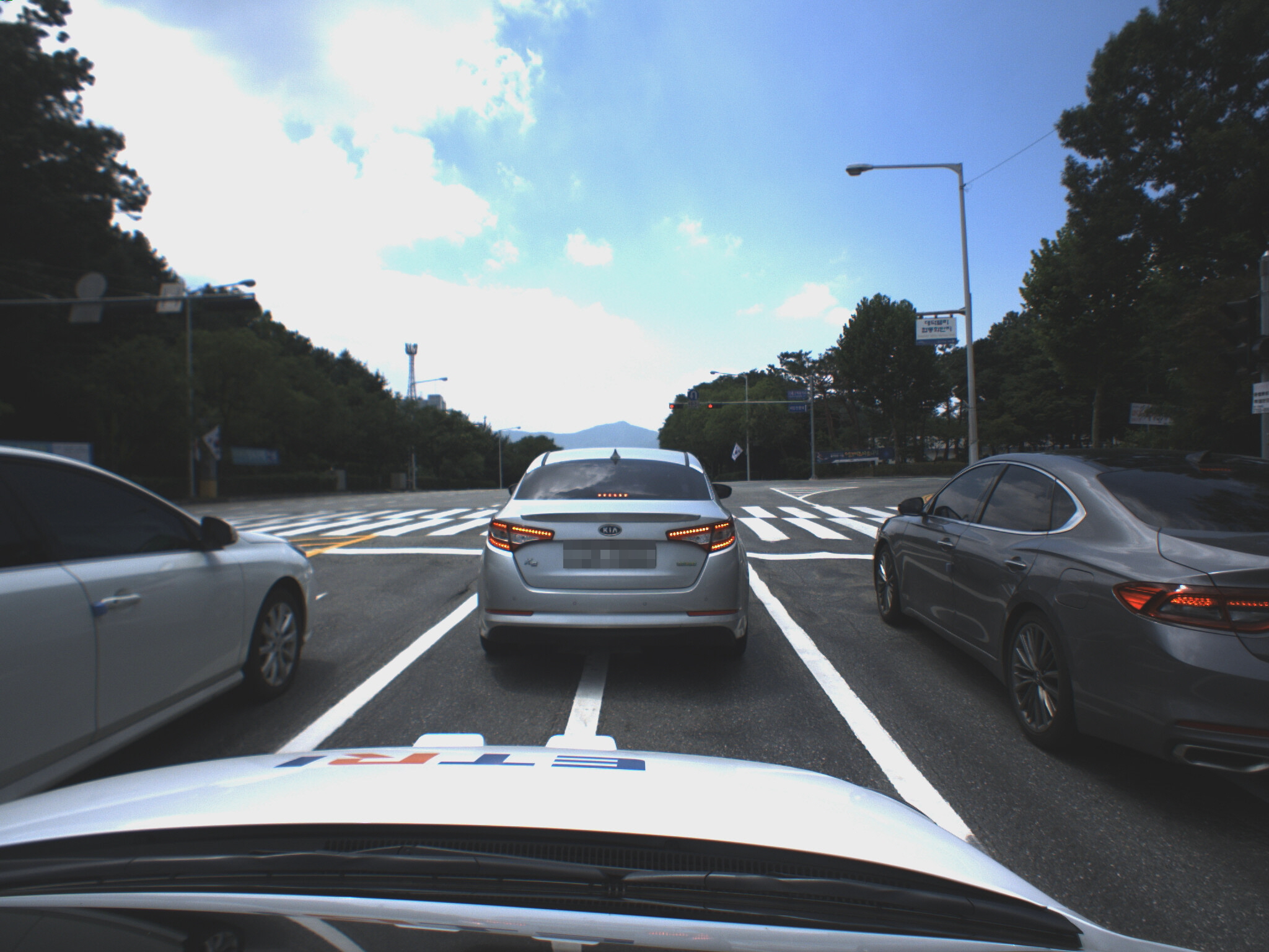 Traffic Light Object Detection Dataset By Traffic Light
