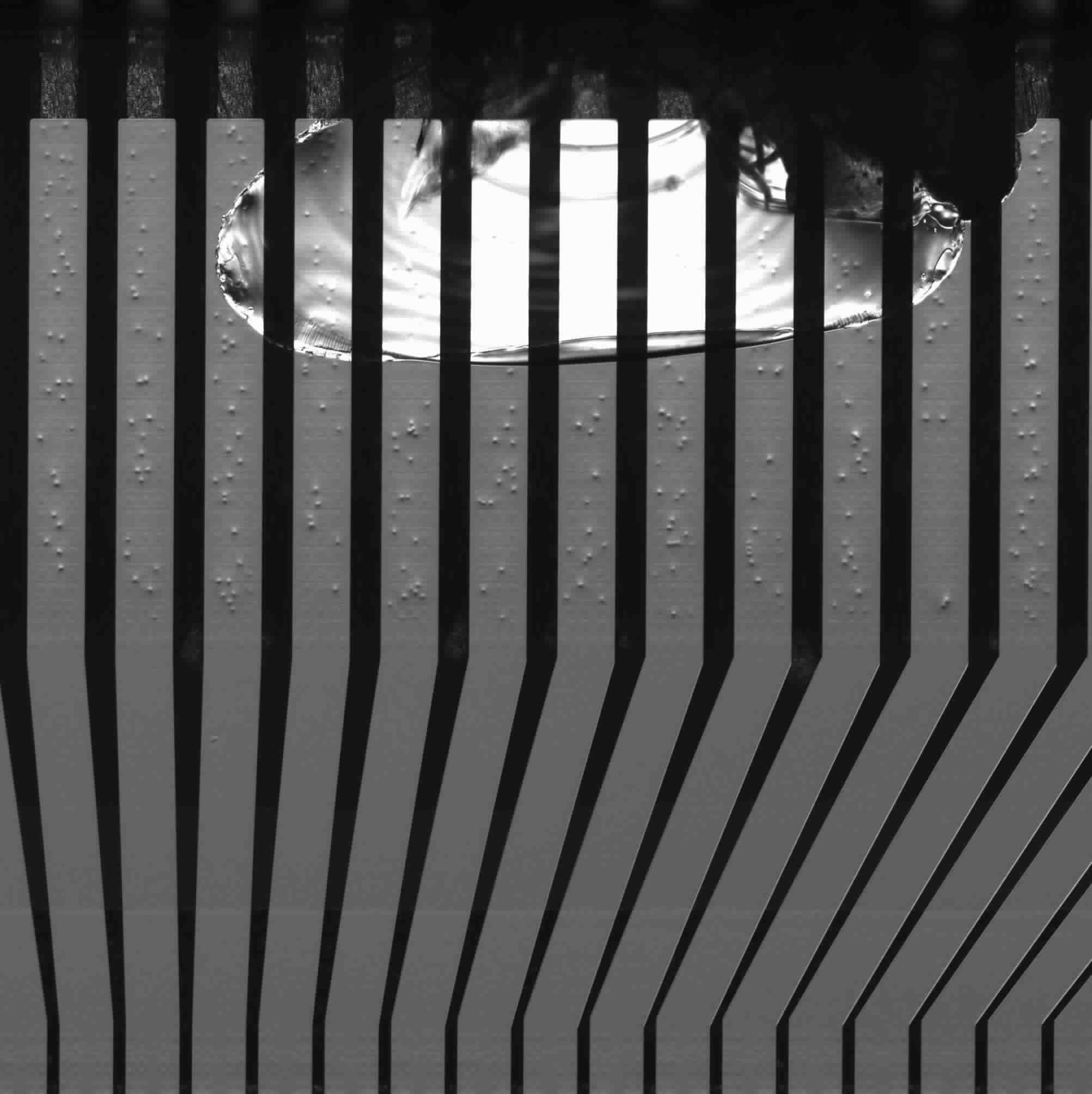 fog Object Detection Dataset by crack