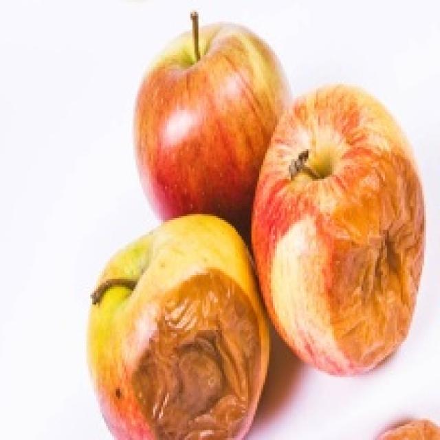 Fruits Fresh And Rotten Object Detection Dataset And Pre Trained Model