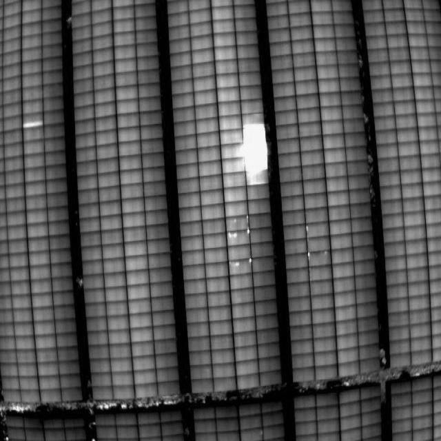 v4_init Object Detection Dataset by V4