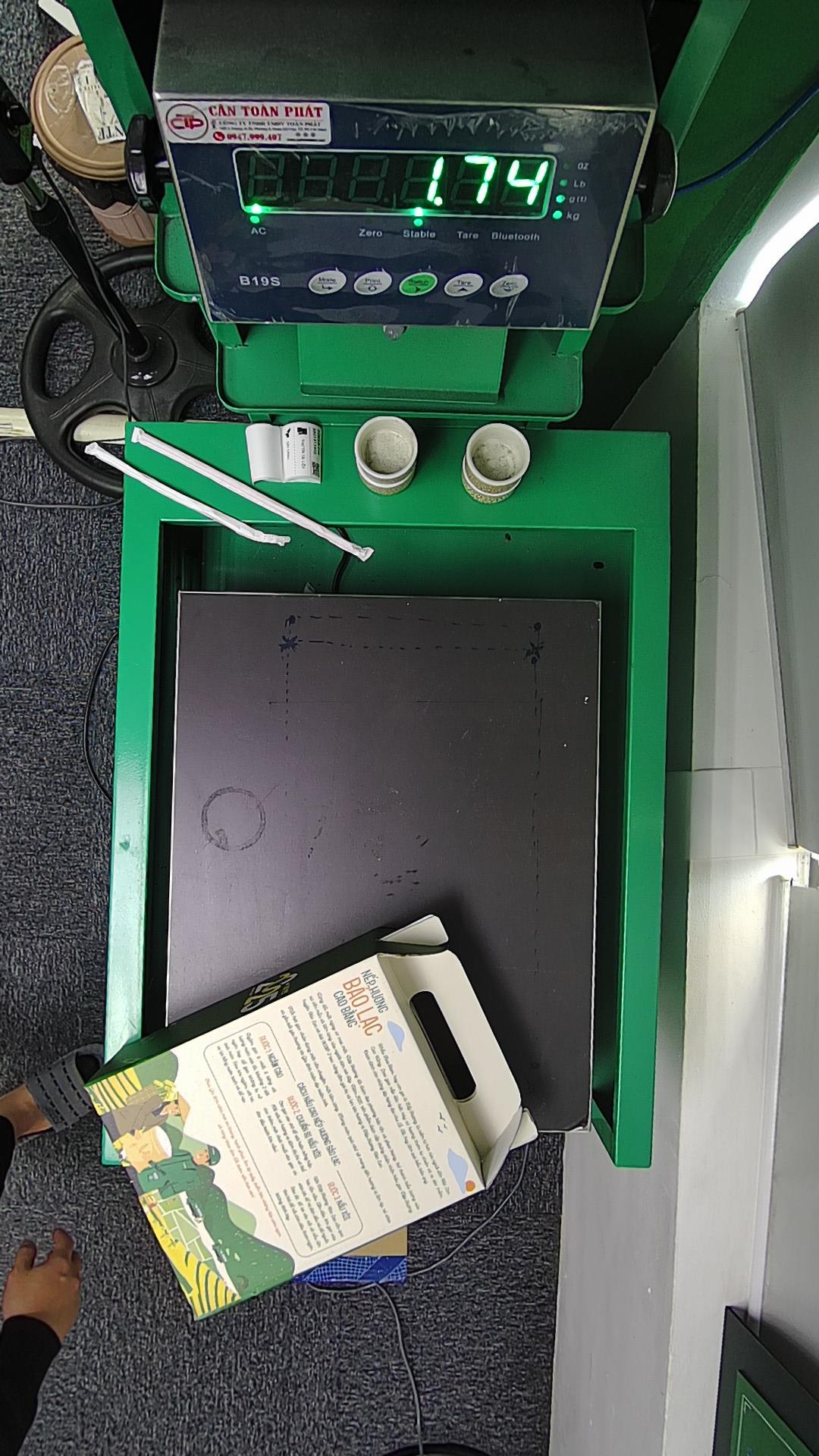 Check BBS train Instance Segmentation Dataset by Data