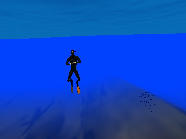 diver Object Detection Dataset by robotics