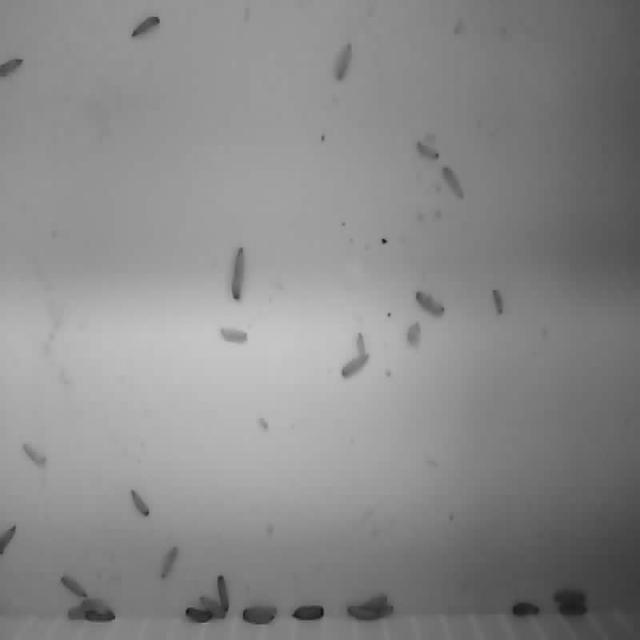 warmProject Object Detection Dataset by DBugging