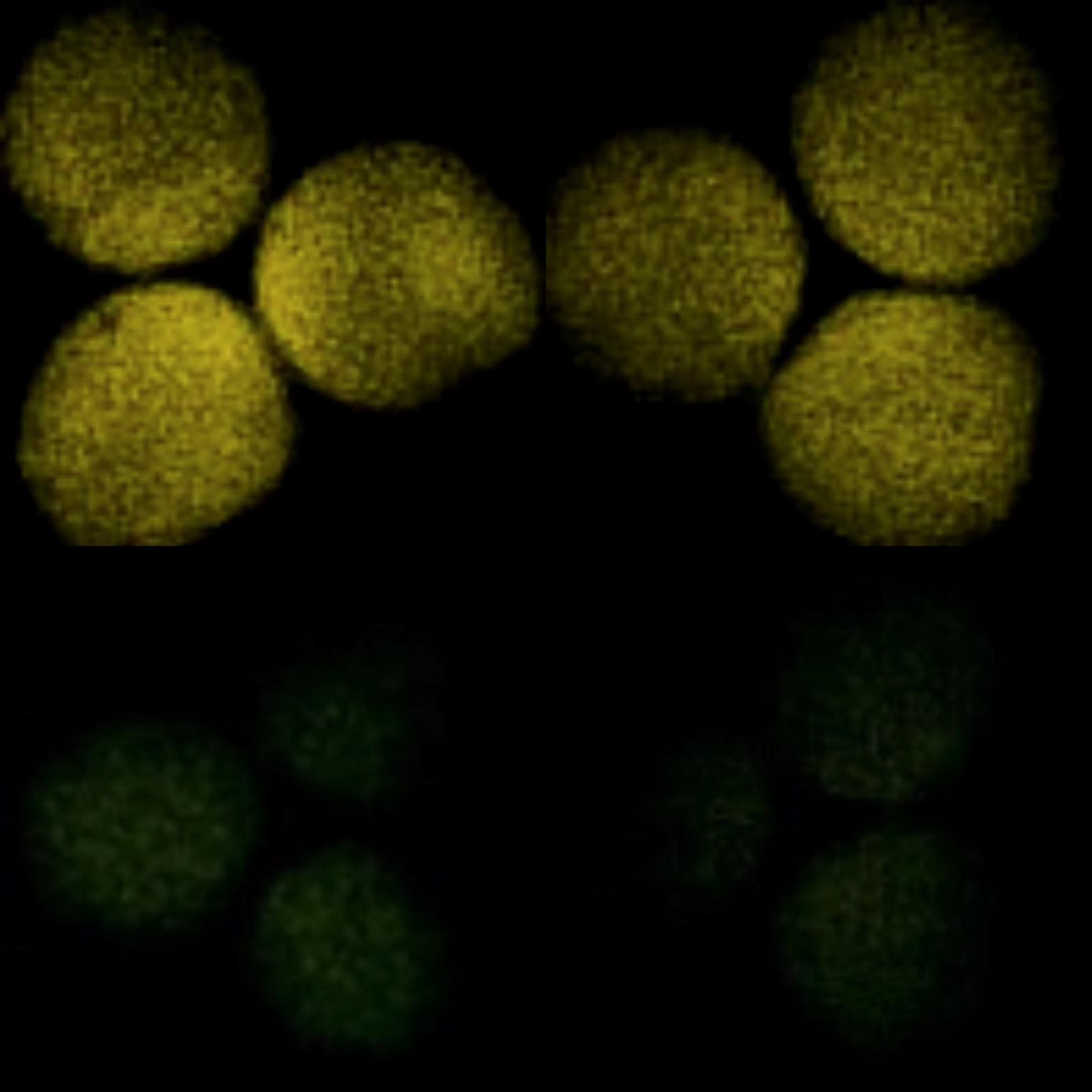 cell Instance Segmentation Dataset by ewfd aer