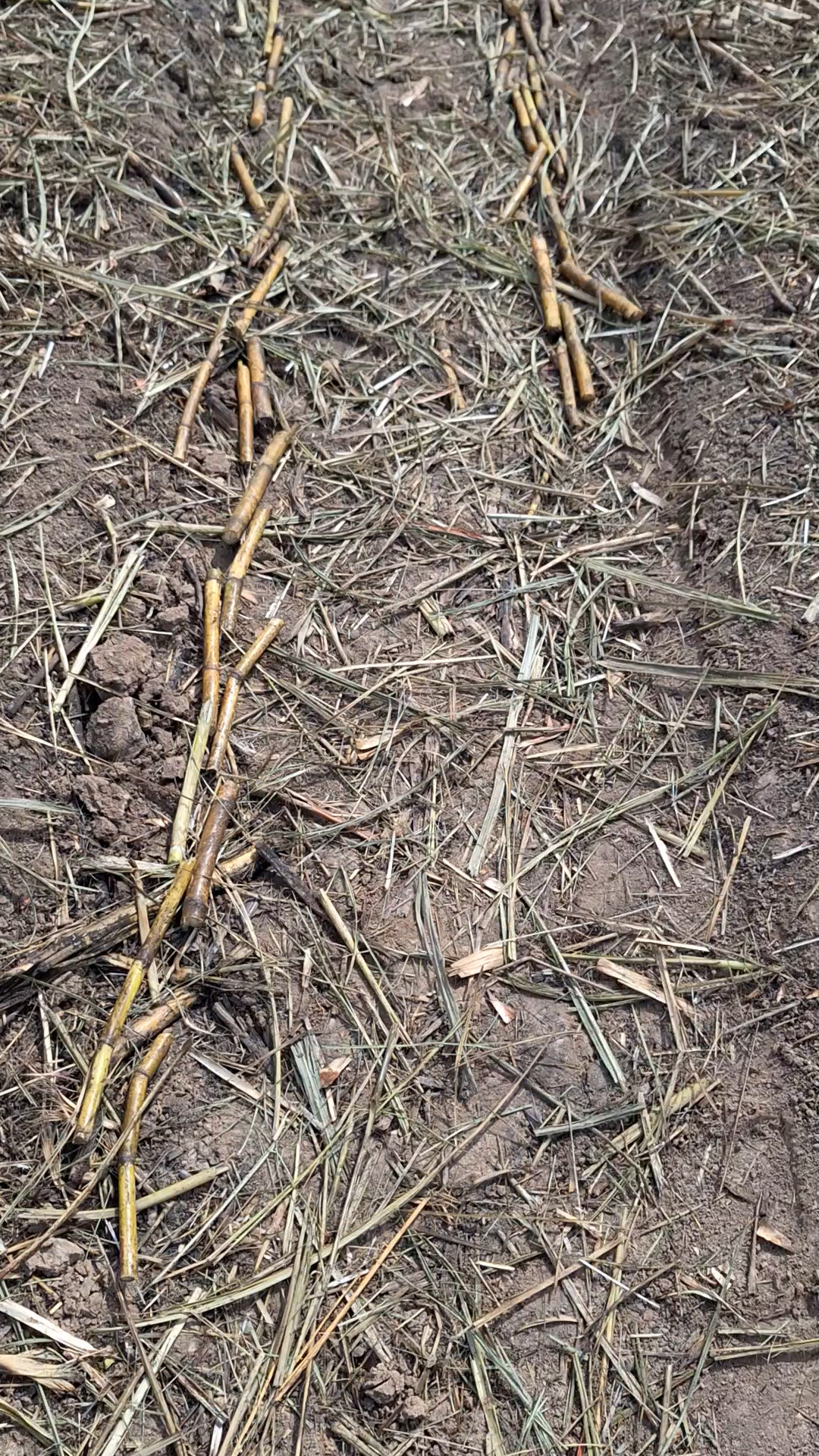 Object Object Detection Dataset By Myworkspace