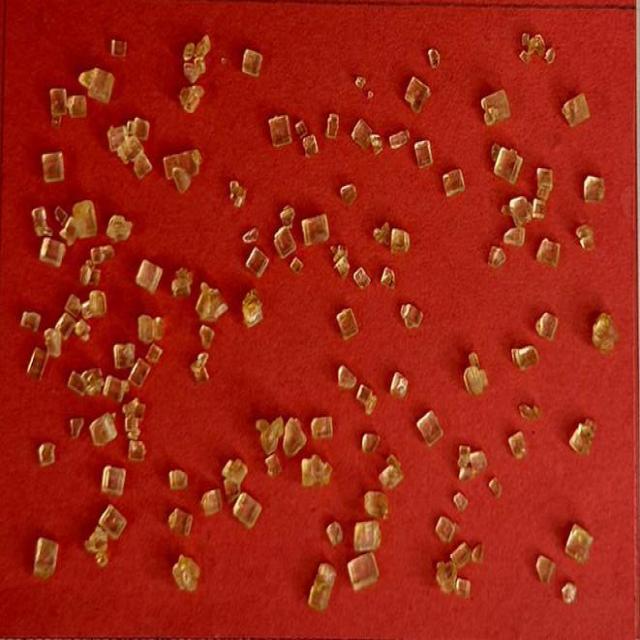 Project1 Instance Segmentation Dataset by JINYEAWON