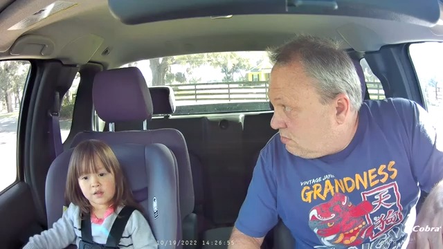 Drowsiness 2 Object Detection Dataset And Pre Trained Model By Drowsiness