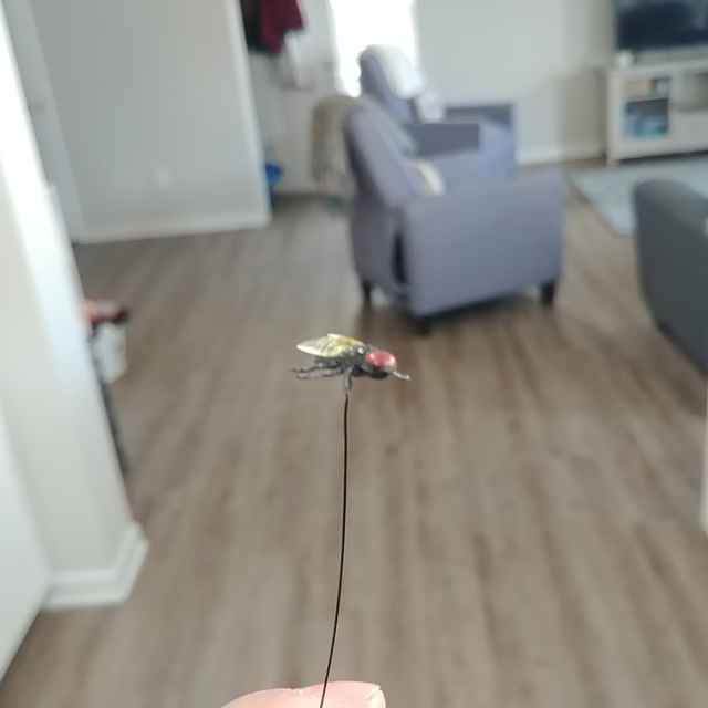 C-Fly Object Detection Model by Eddie