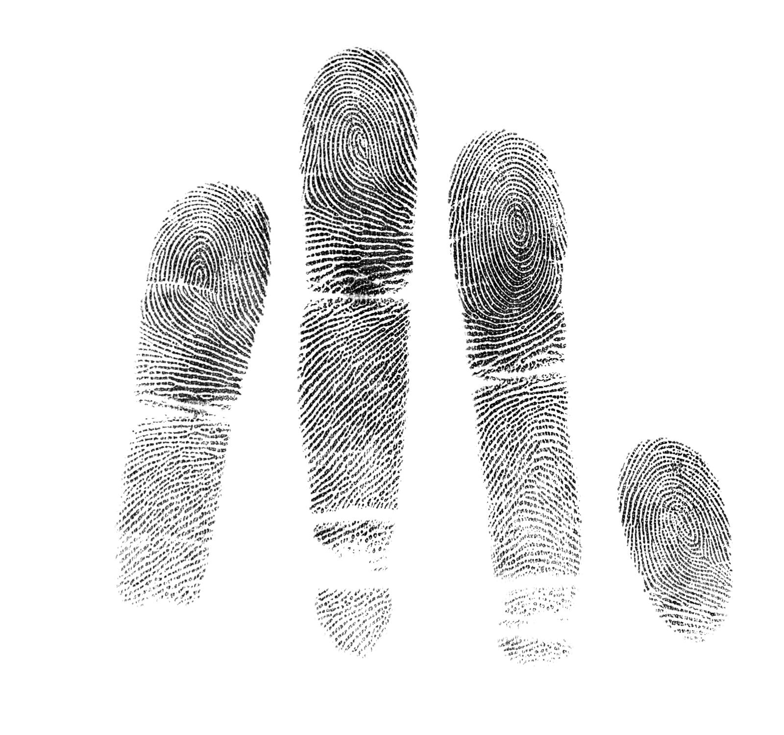 slap fingerprint Object Detection Dataset by hemant