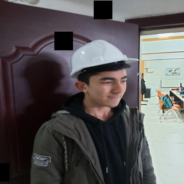 helmet Object Detection Dataset by morio