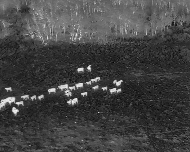 new data Object Detection Dataset by ItamarM