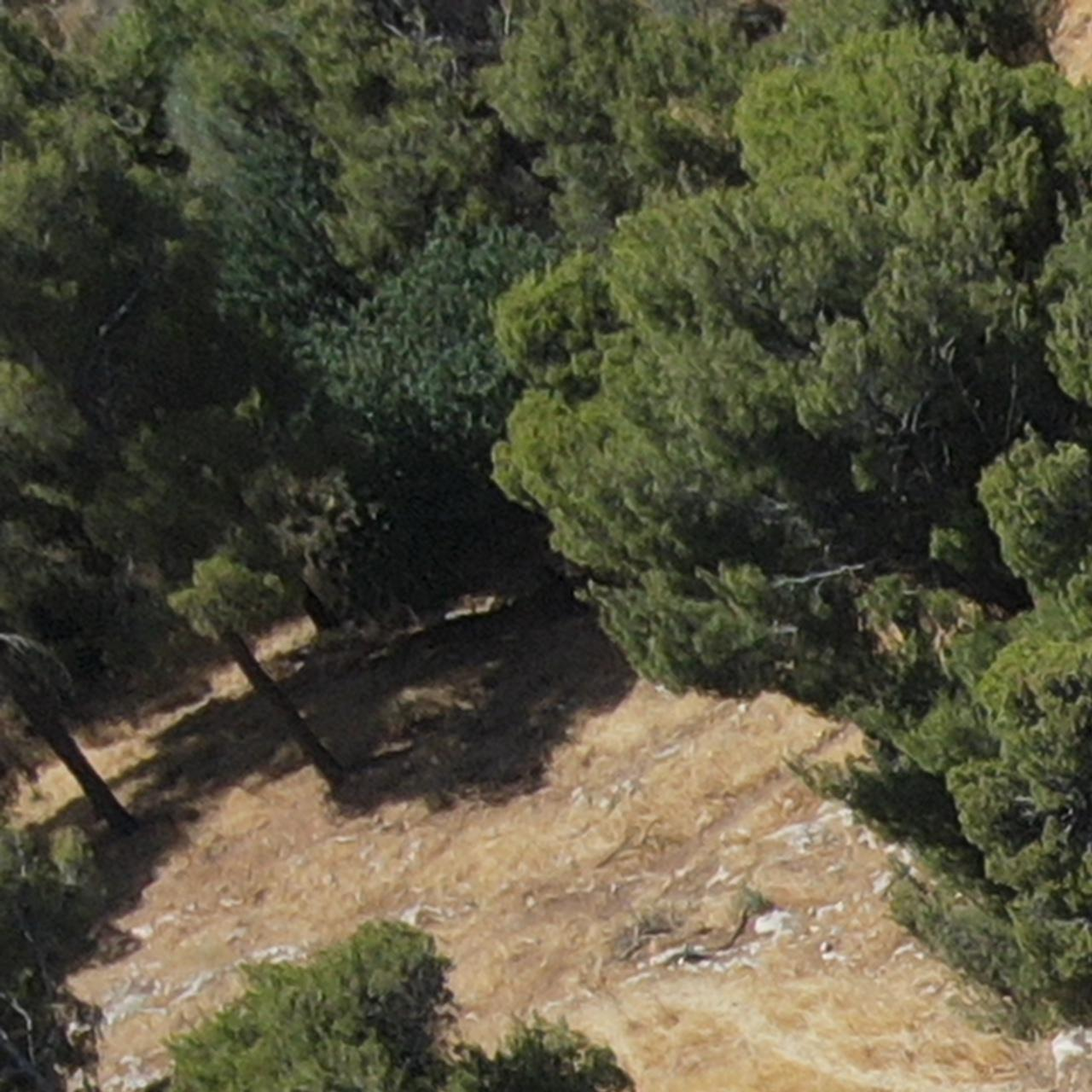 cccss Object Detection Dataset by ItamarM