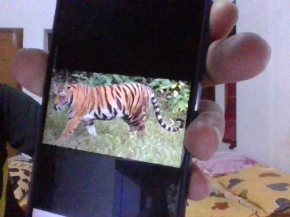 Animal detection Object Detection Dataset and Pre-Trained Model by Animal detection