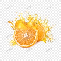 coding (coding-ippfi) - Roboflow Universe