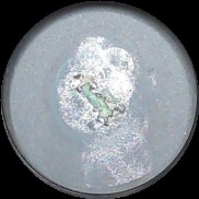 circle_2_segmentation Instance Segmentation Dataset by wendyworkspace