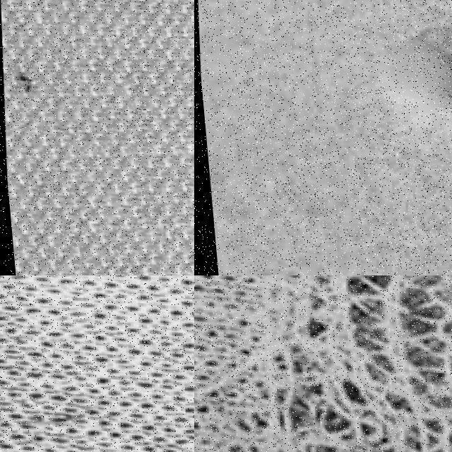 Fabric Detection Yolov12 Object Detection Dataset And Pre Trained Model By Fabricdefect