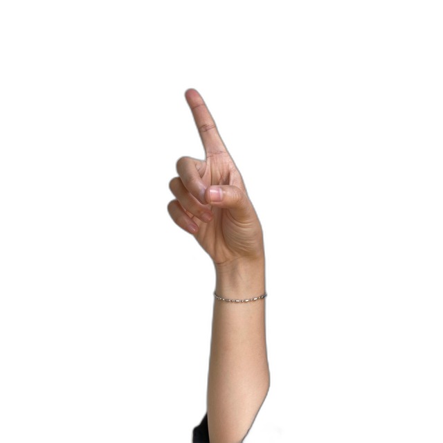 Fine Tuning Dataset Object Detection Dataset by SIBI Detection