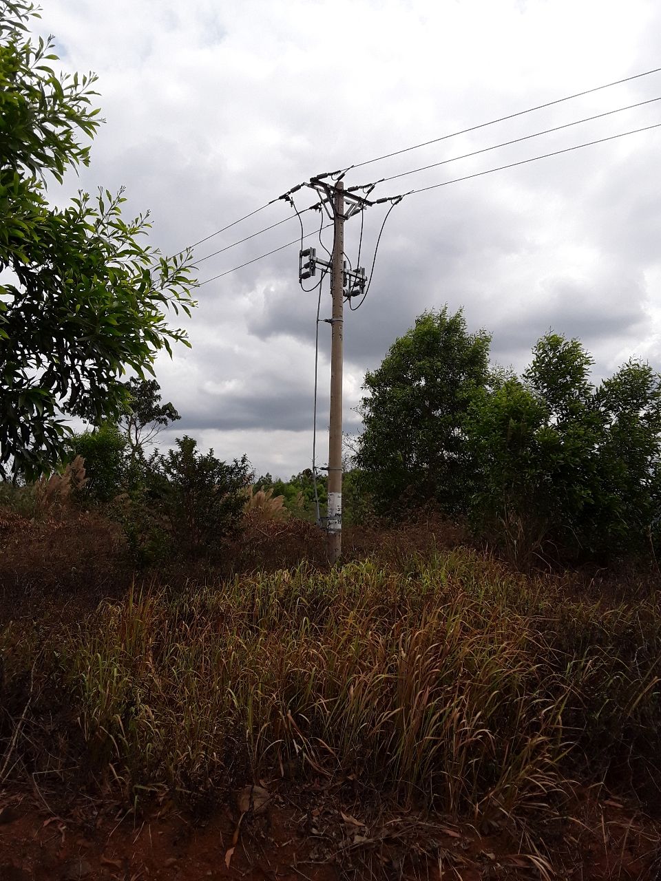 dcl_tt Object Detection Dataset by KBang